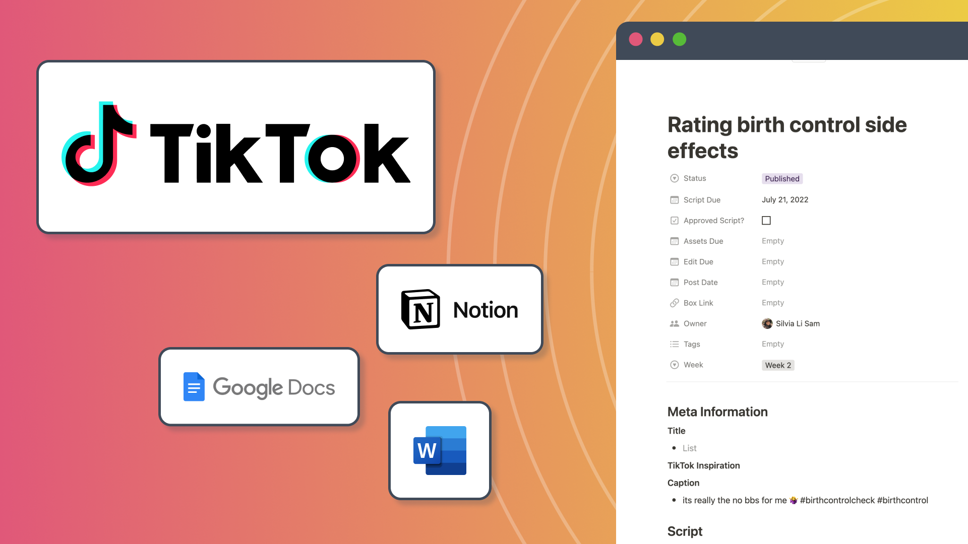 TikTok Script Template Notion Google Docs Word Slam Media Lab